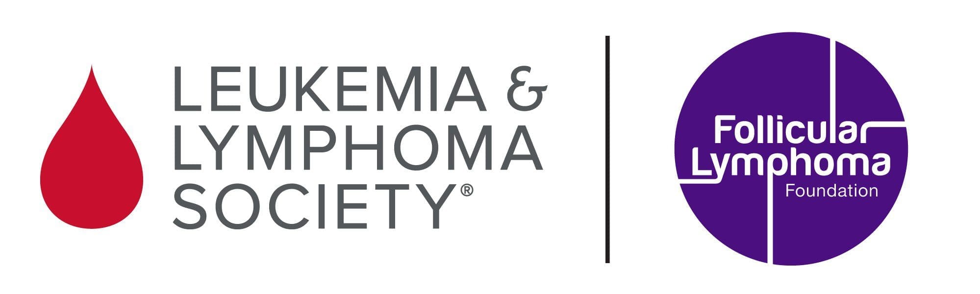 LLS and FLF Research United to CURE FL Award Launch